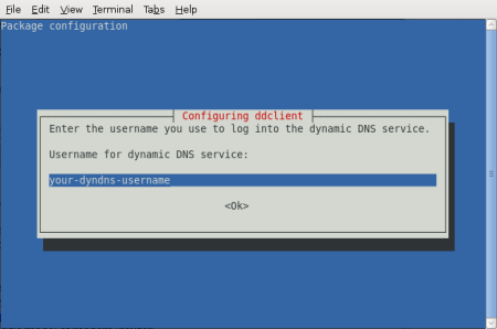 DynDNS Client Setup on Ubuntu – Life in apps, OSs and code!